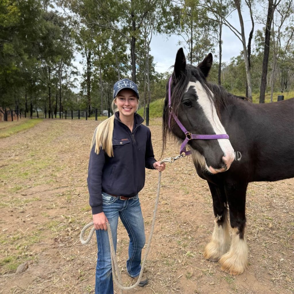 Staff - Equine Veterinary Services